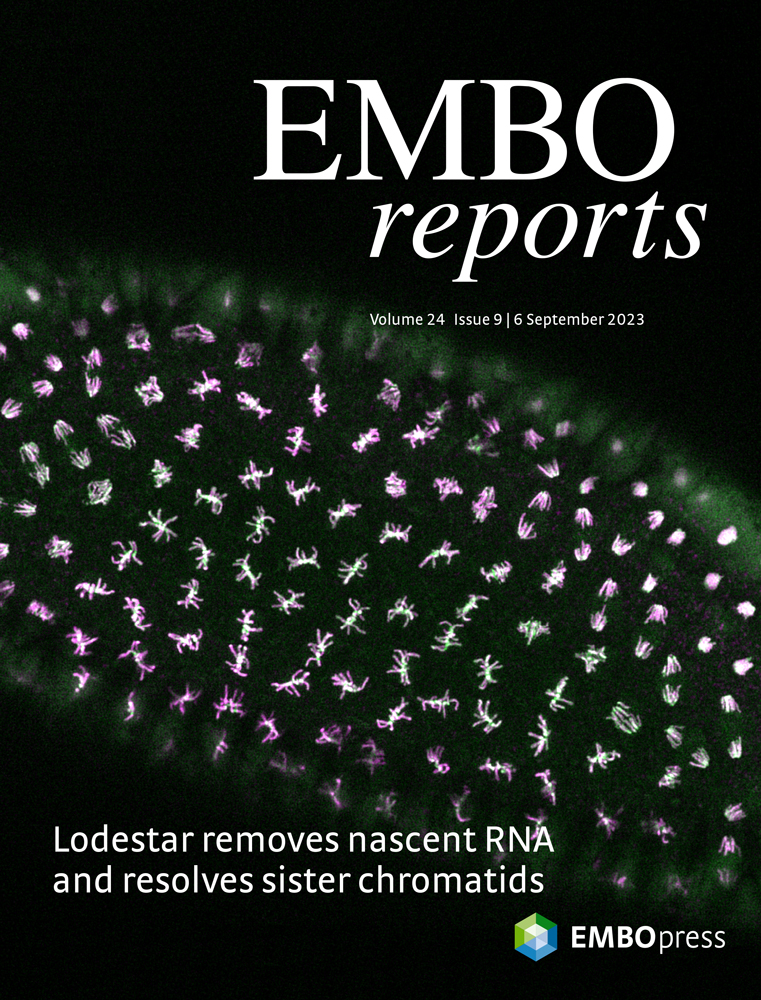 New study by CBR researchers highlighted in this month's cover of EMBO ...