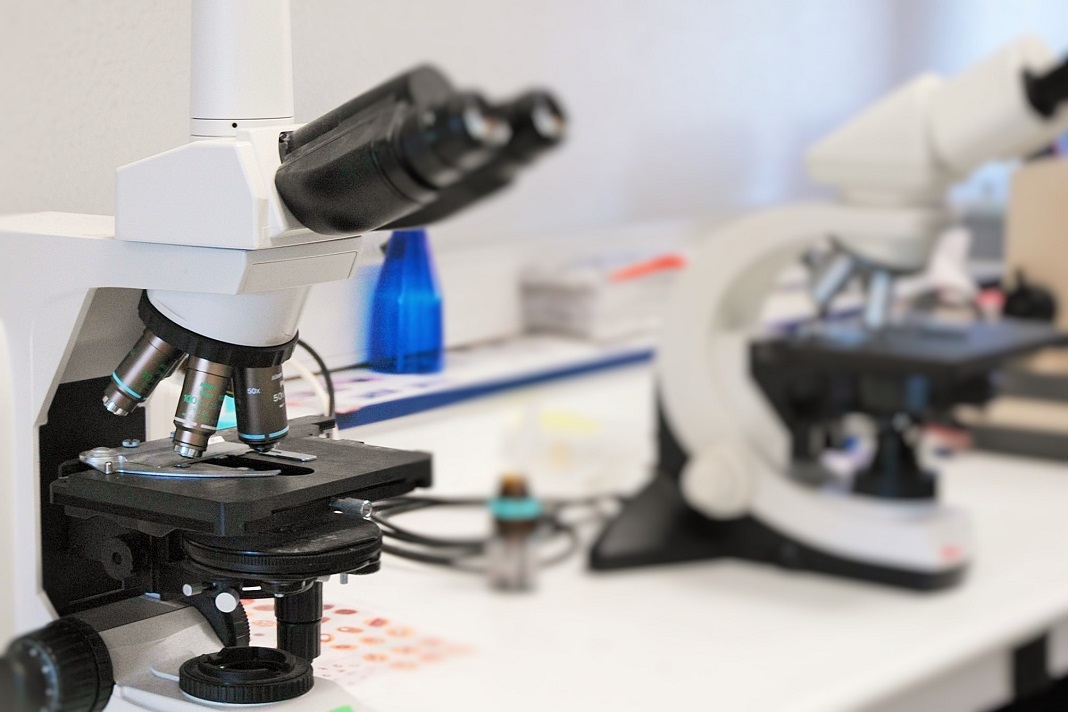 RESEARCH FELLOWSHIP RECRUITMENT | FM-WEBSITE